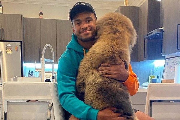 What Is Tua Tagovailoa Net Worth? His Salary & Earnings explained