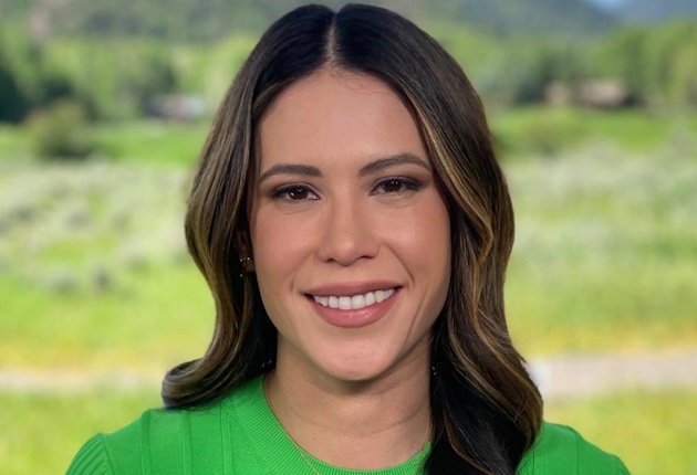 What Is Deirdre Bosa Doing Now? Is She Married?